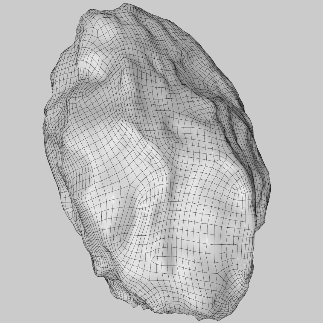 3d model asteroid meteoroid rock