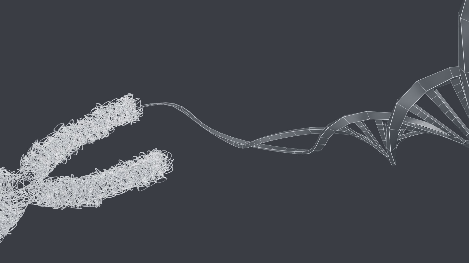 Chromosome Chromatin With DNA Helix 3D - TurboSquid 2261556