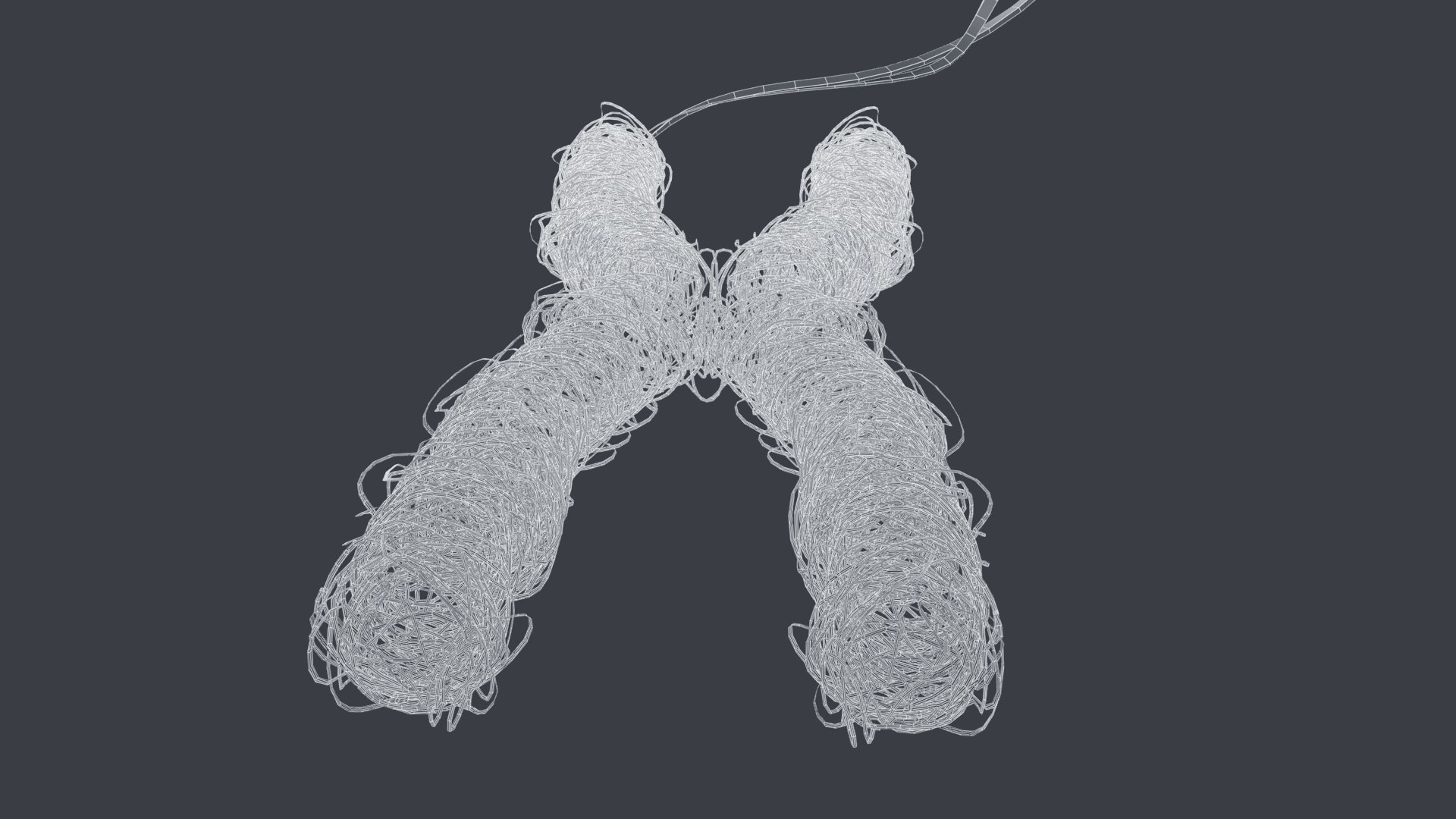 Chromosome Chromatin With DNA Helix 3D - TurboSquid 2261556