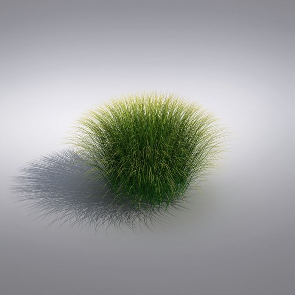 3ds max ornamental grass