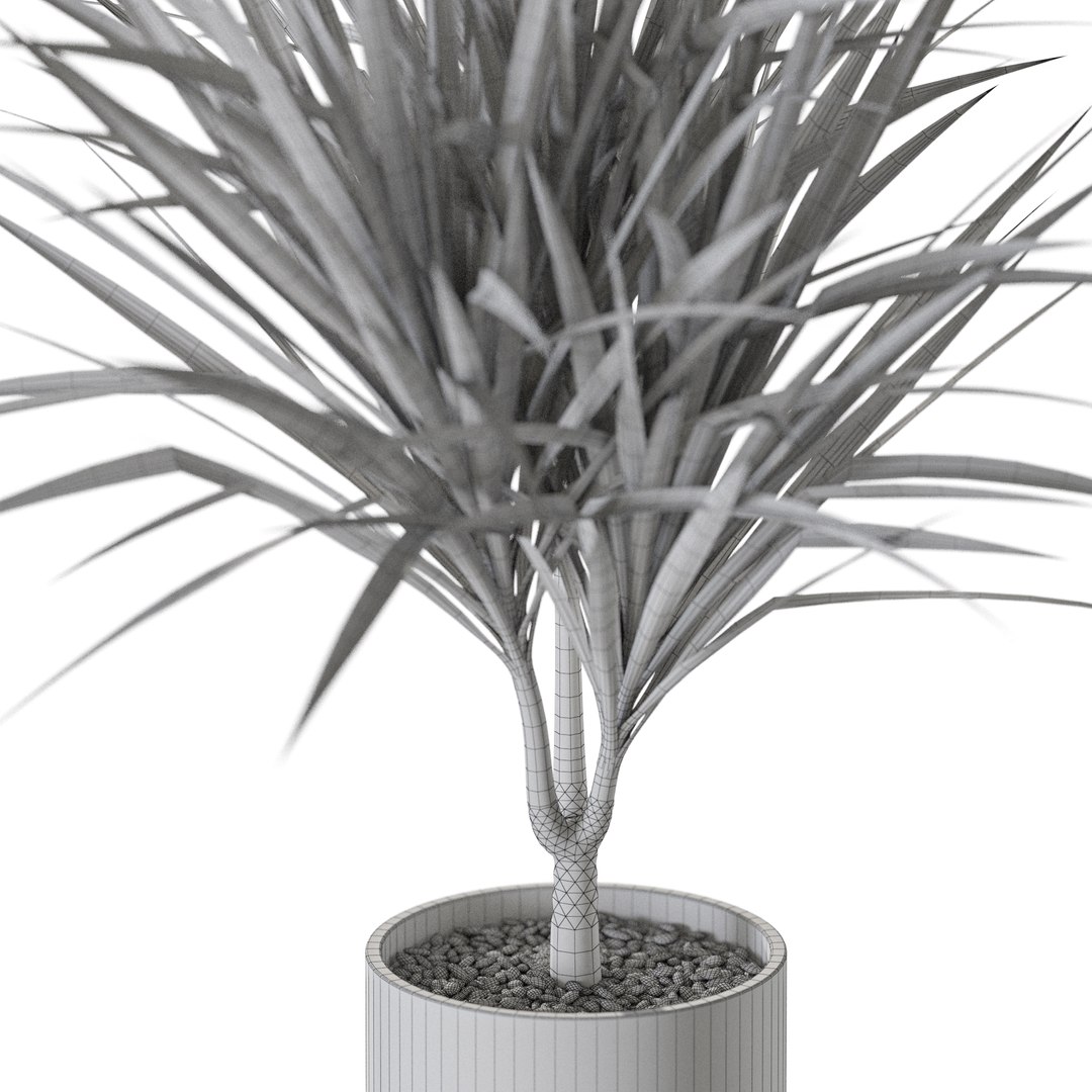 Plant 1244 Model - TurboSquid 2399331