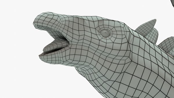 Stegosaurus Rigged Basemesh Skeleton Modelo 3D - TurboSquid 2070229
