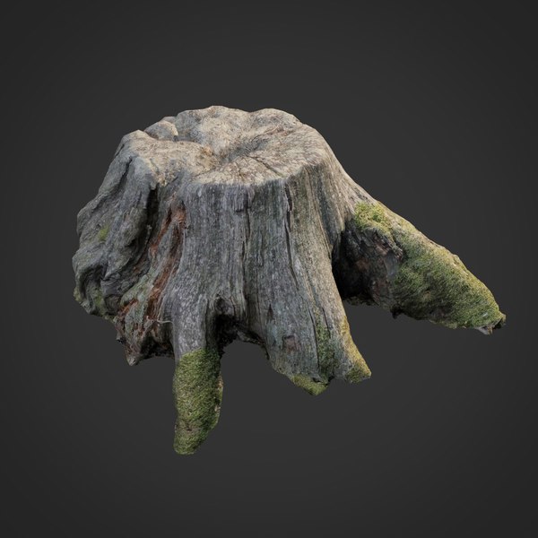 Scan tree stump 3D model - TurboSquid 1559814