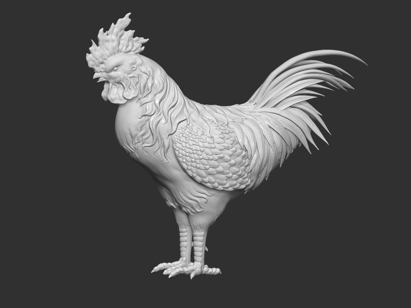 3D Rooster - TurboSquid 2049435