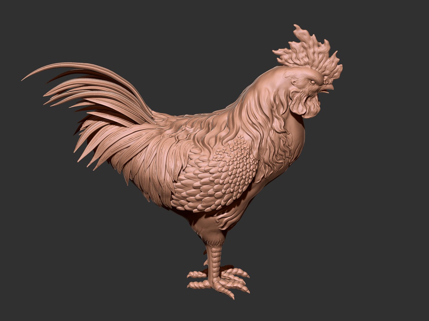 3D Rooster - TurboSquid 2049435