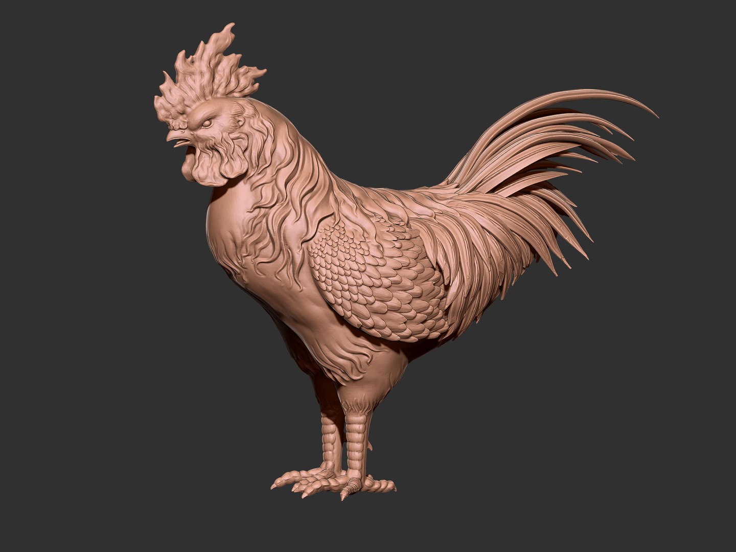 3D Rooster - TurboSquid 2049435