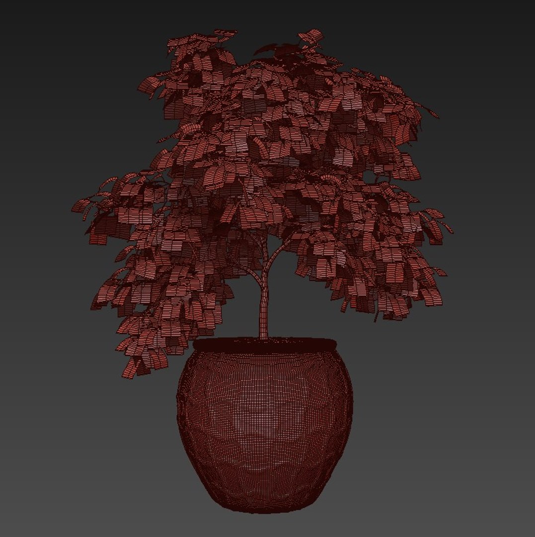 3D Maple Tree Model - TurboSquid 1215460