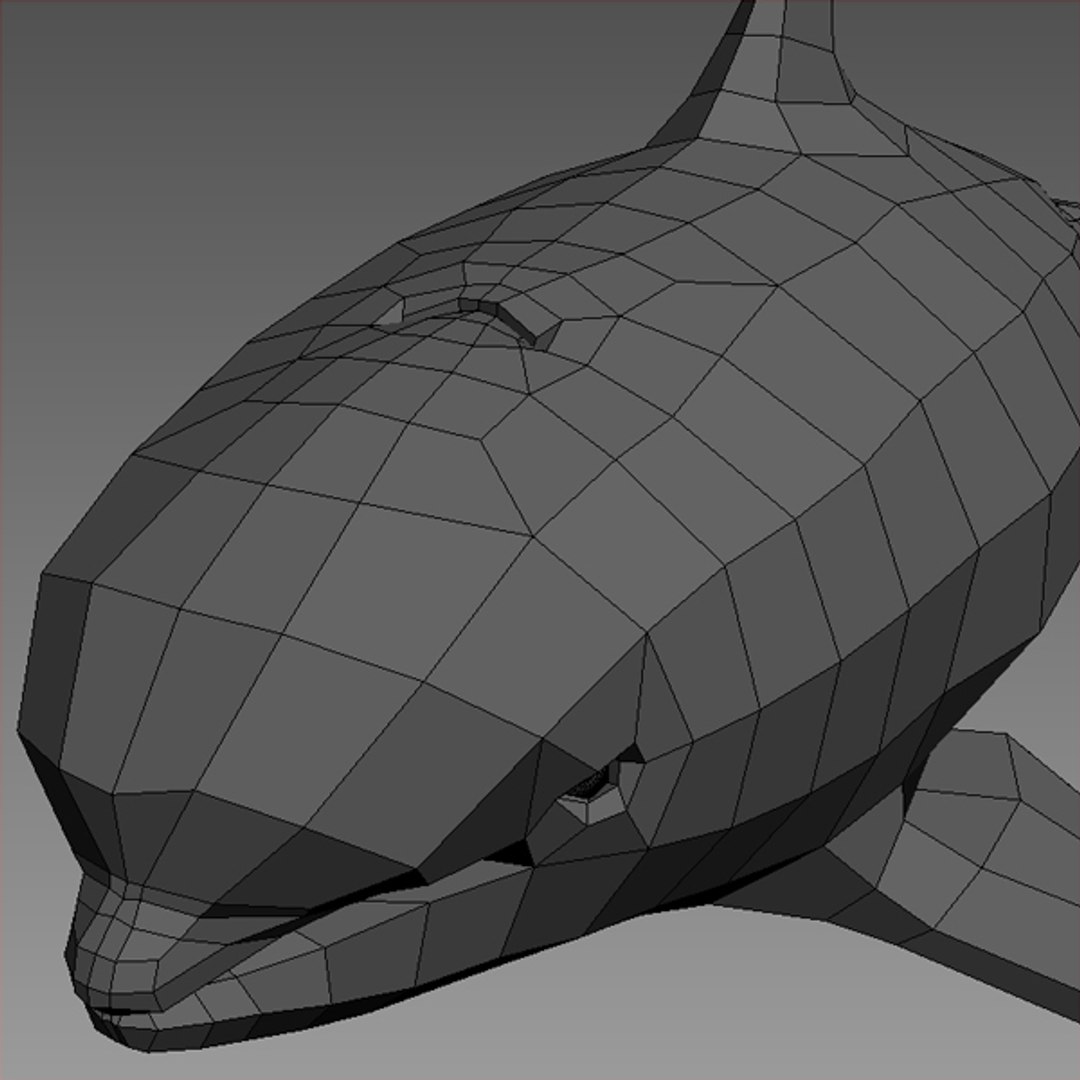 Base Mesh Whale 3d Max