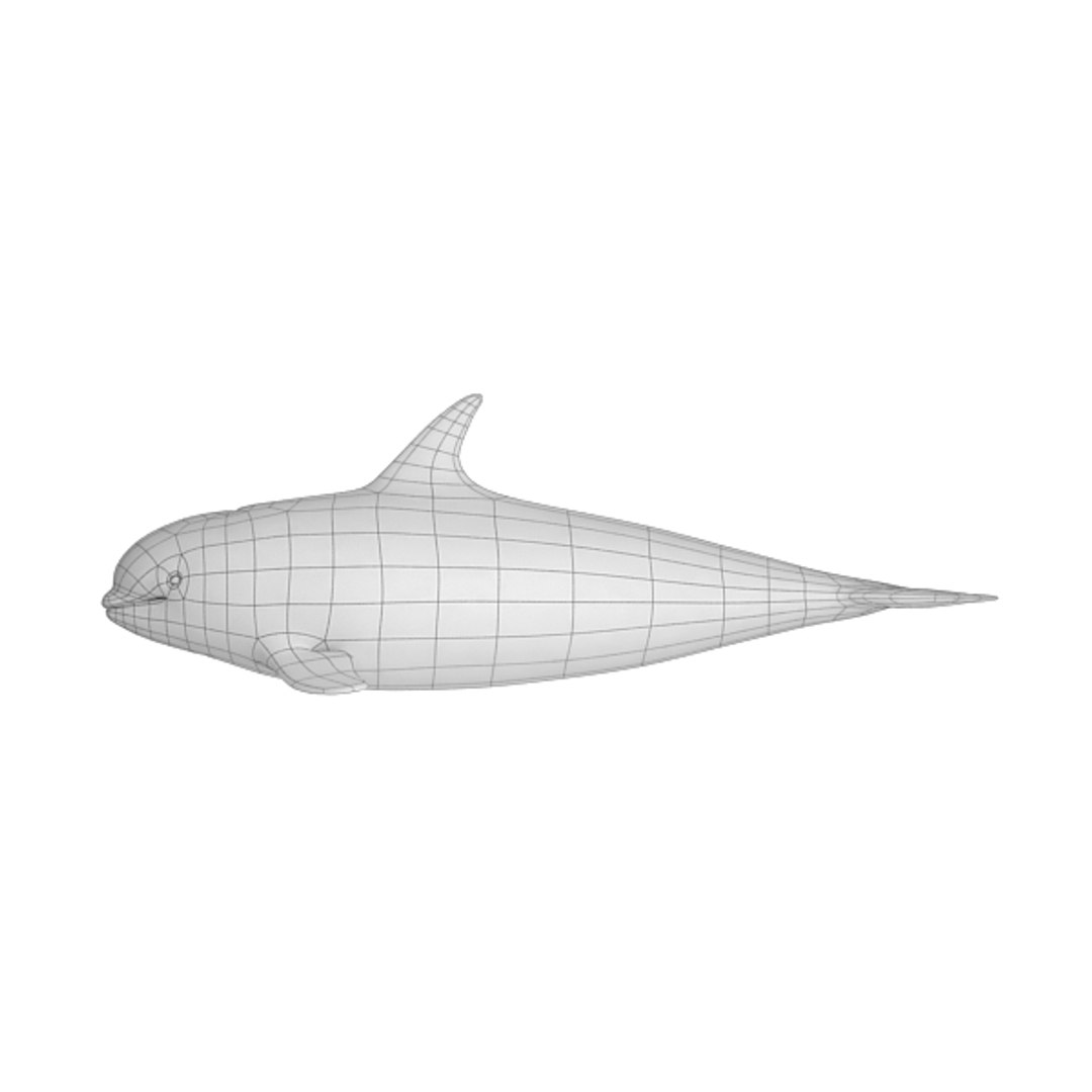 Base Mesh Whale 3d Max