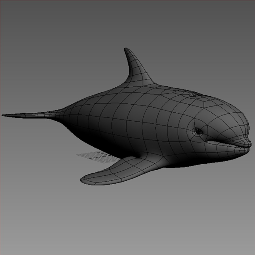 Base Mesh Whale 3d Max