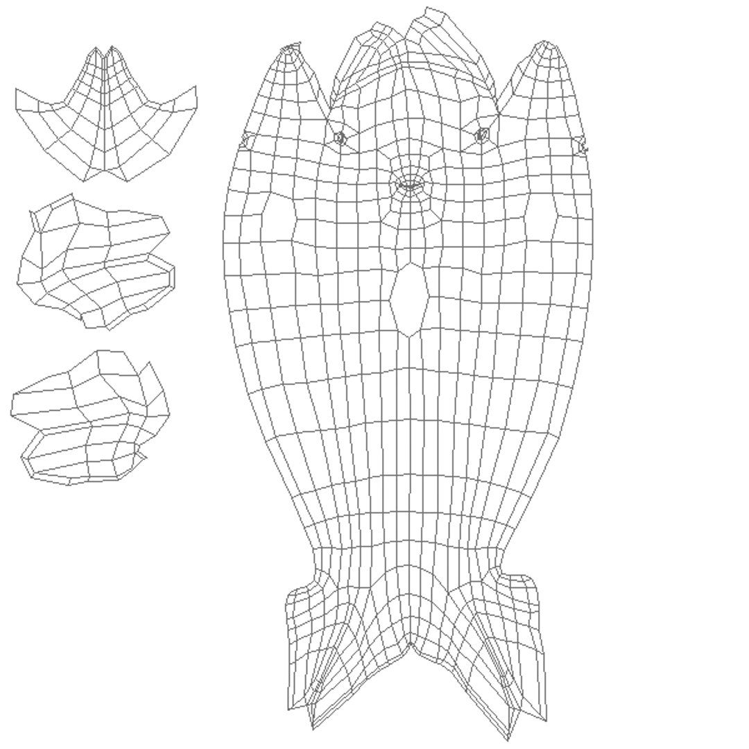 Base Mesh Whale 3d Max