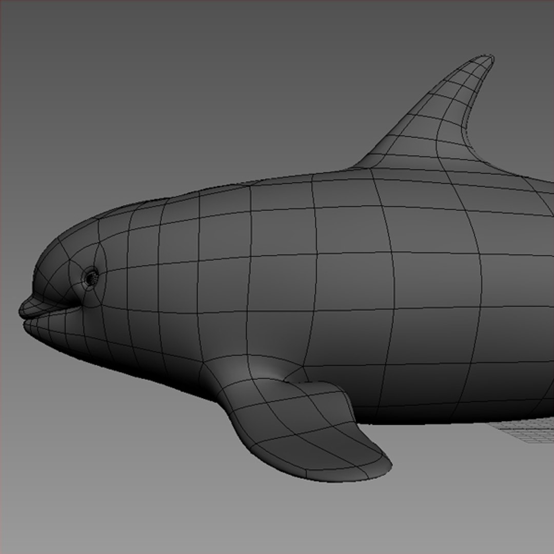 Base Mesh Whale 3d Max