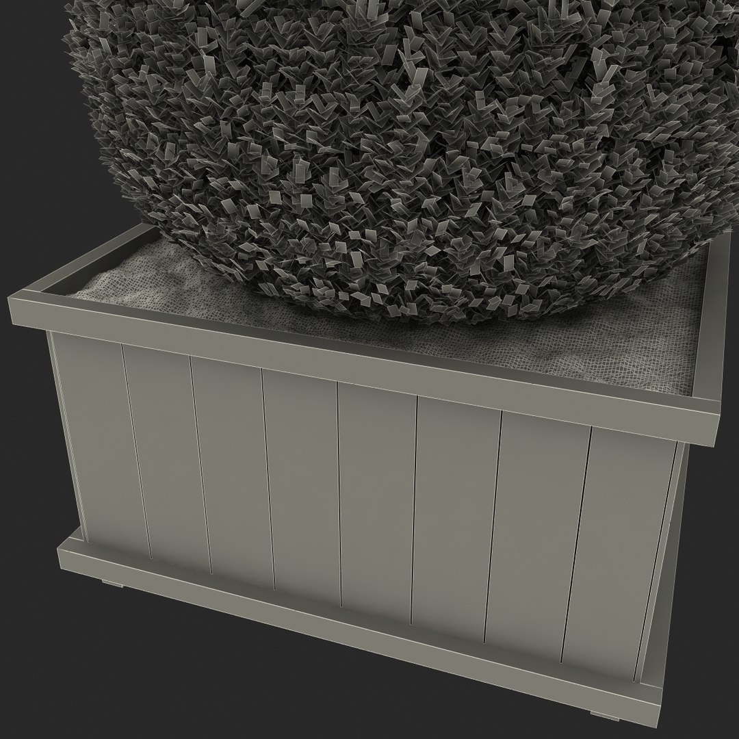 Box Hedge 3d Model
