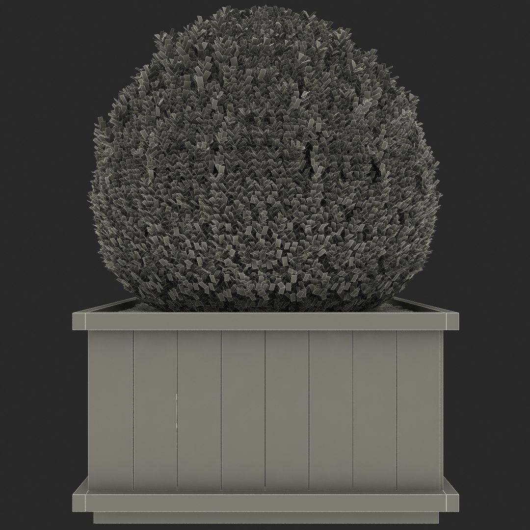 Box Hedge 3d Model