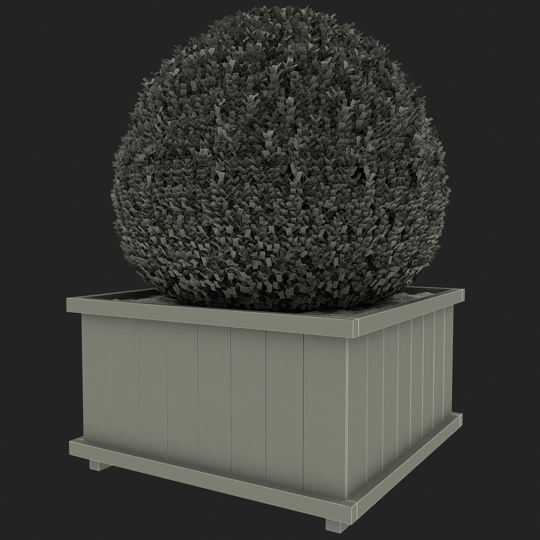 Box Hedge 3d Model