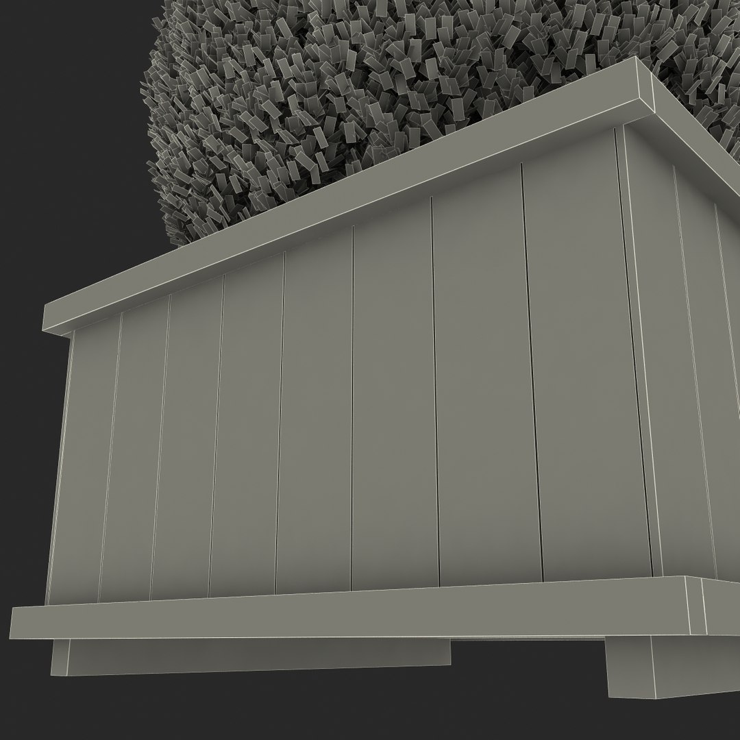 Box Hedge 3d Model