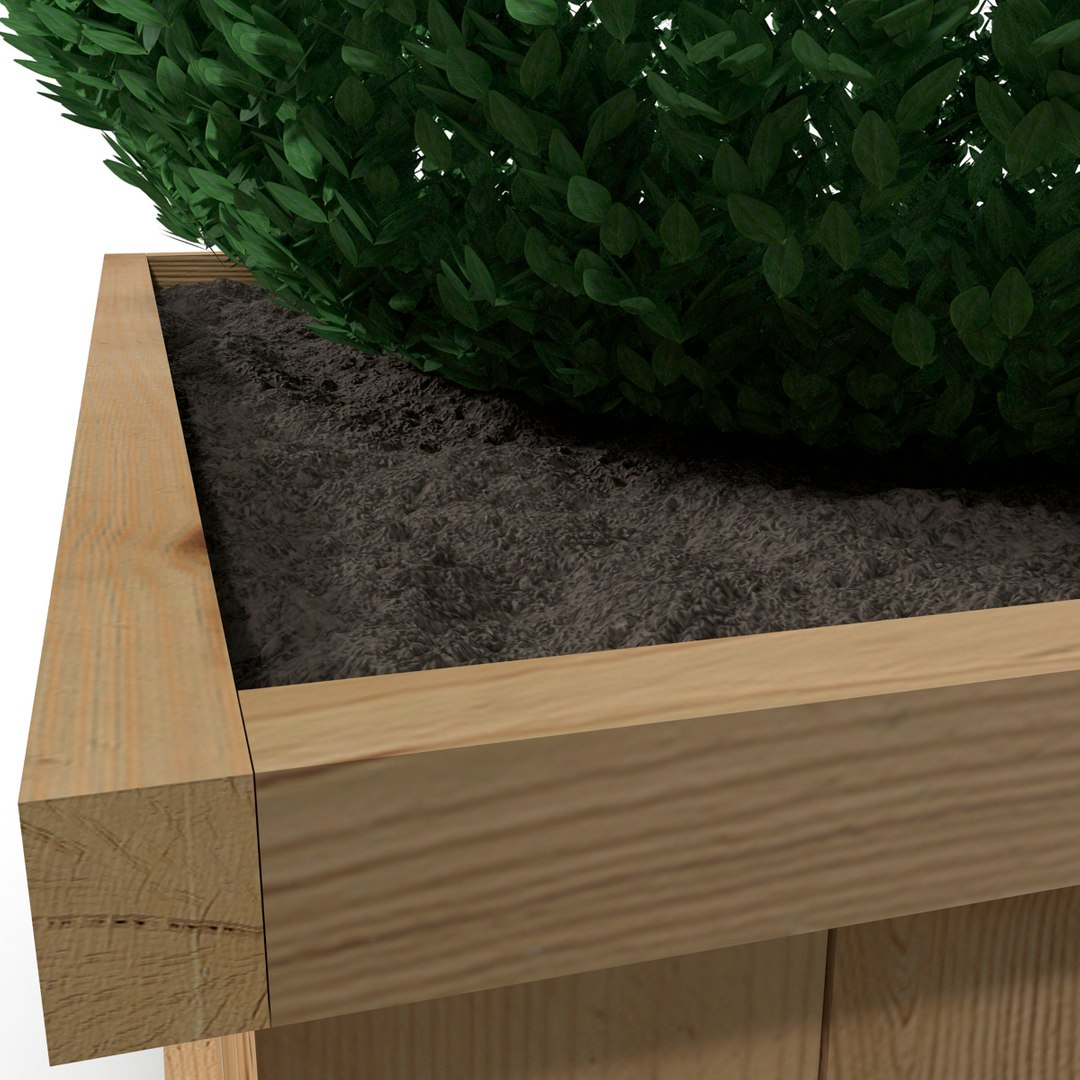 Box Hedge 3d Model