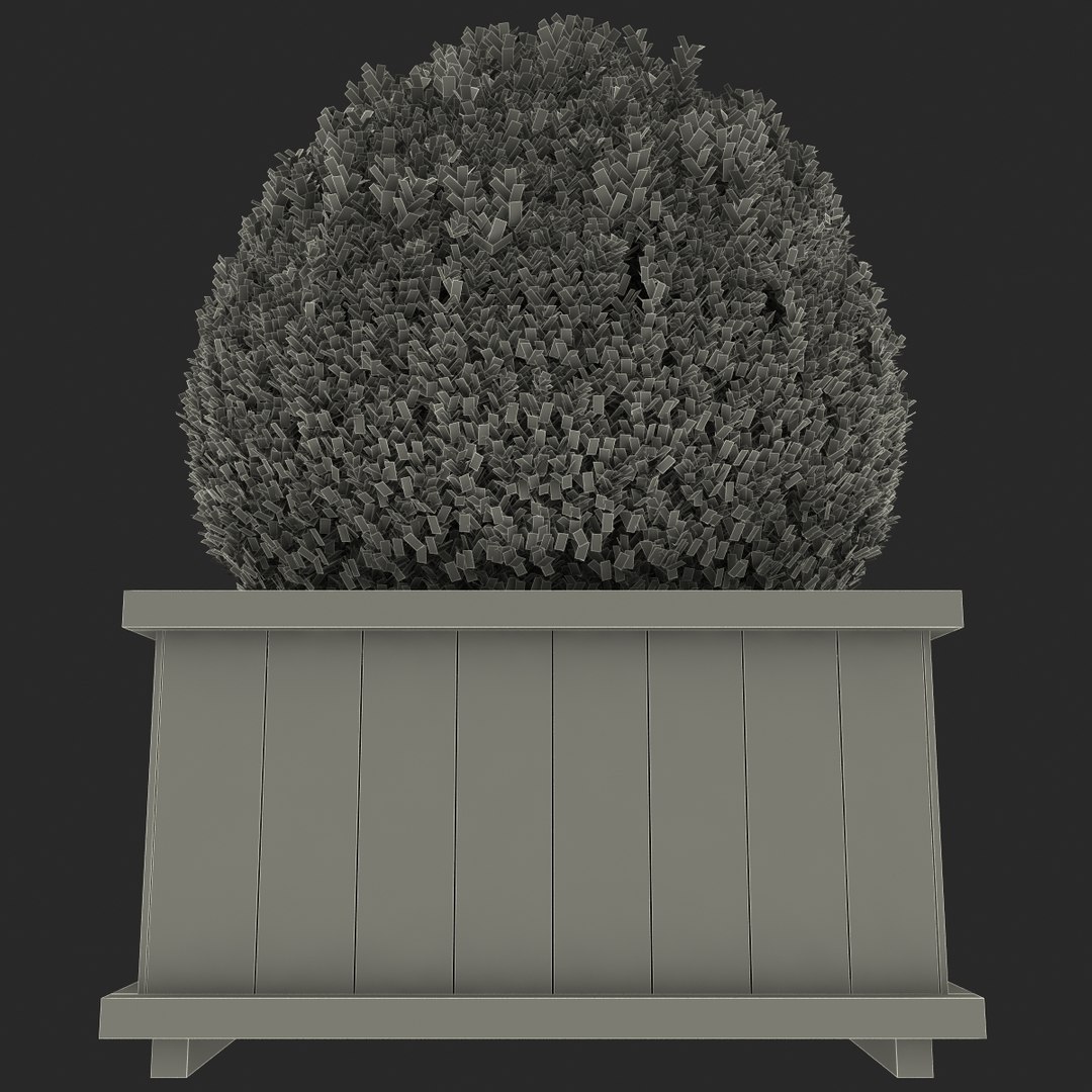 Box Hedge 3d Model