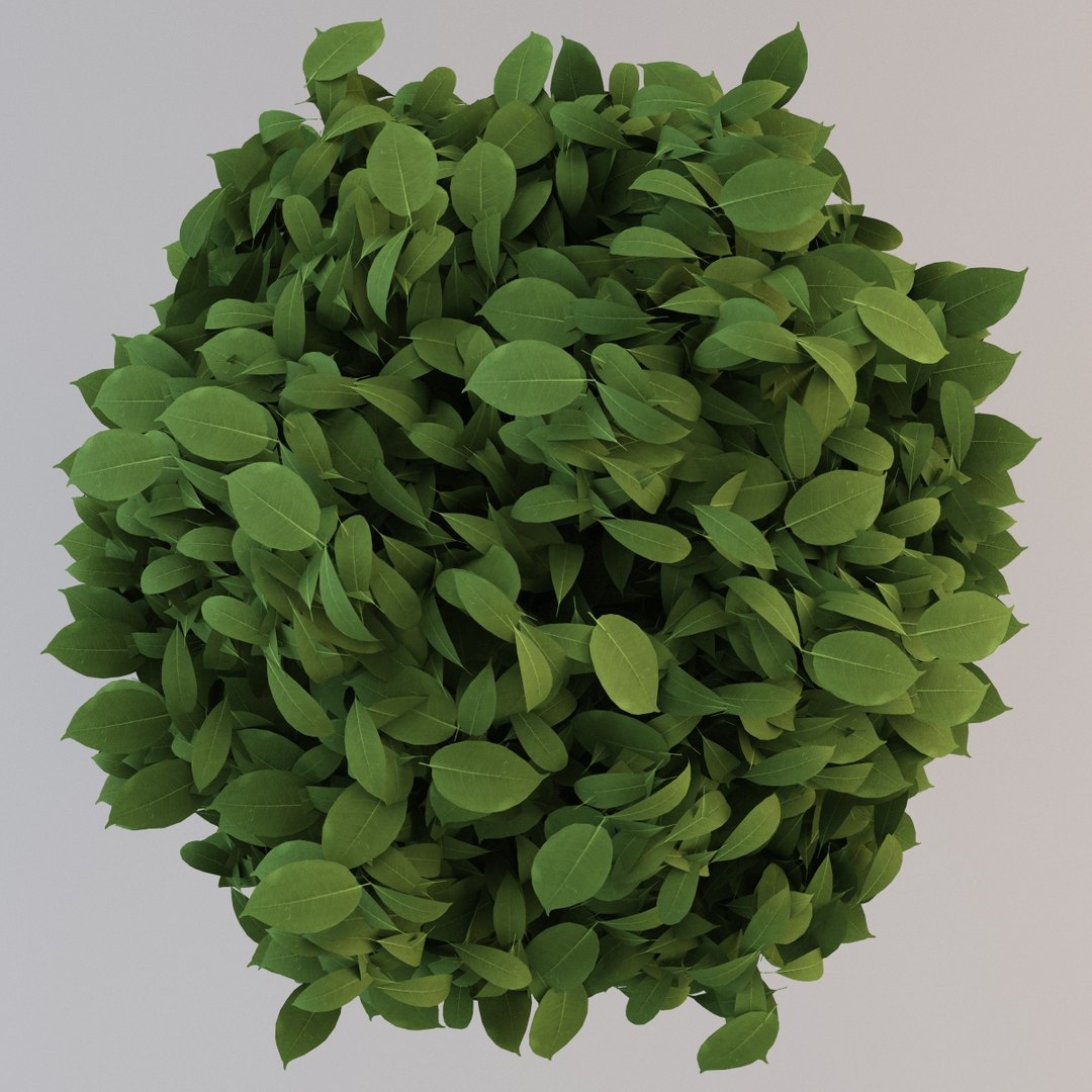 c4d plant potted
