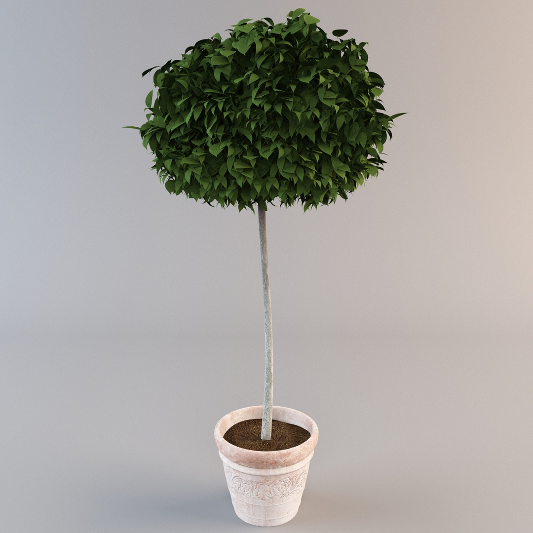 c4d plant potted