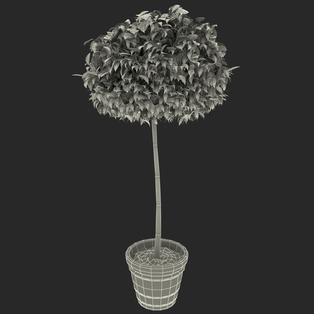 c4d plant potted