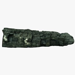 Charred Log 3D Model - TurboSquid 1528725