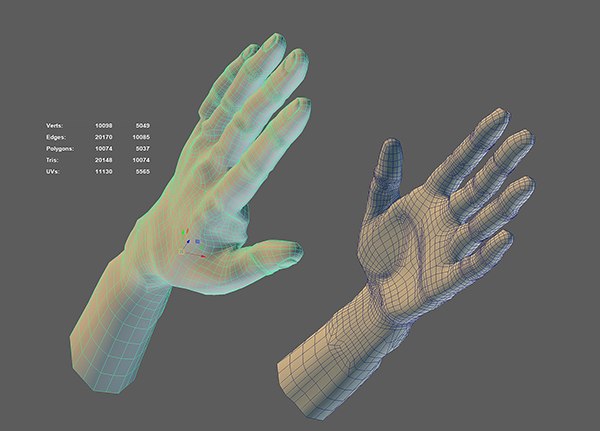 maya hand