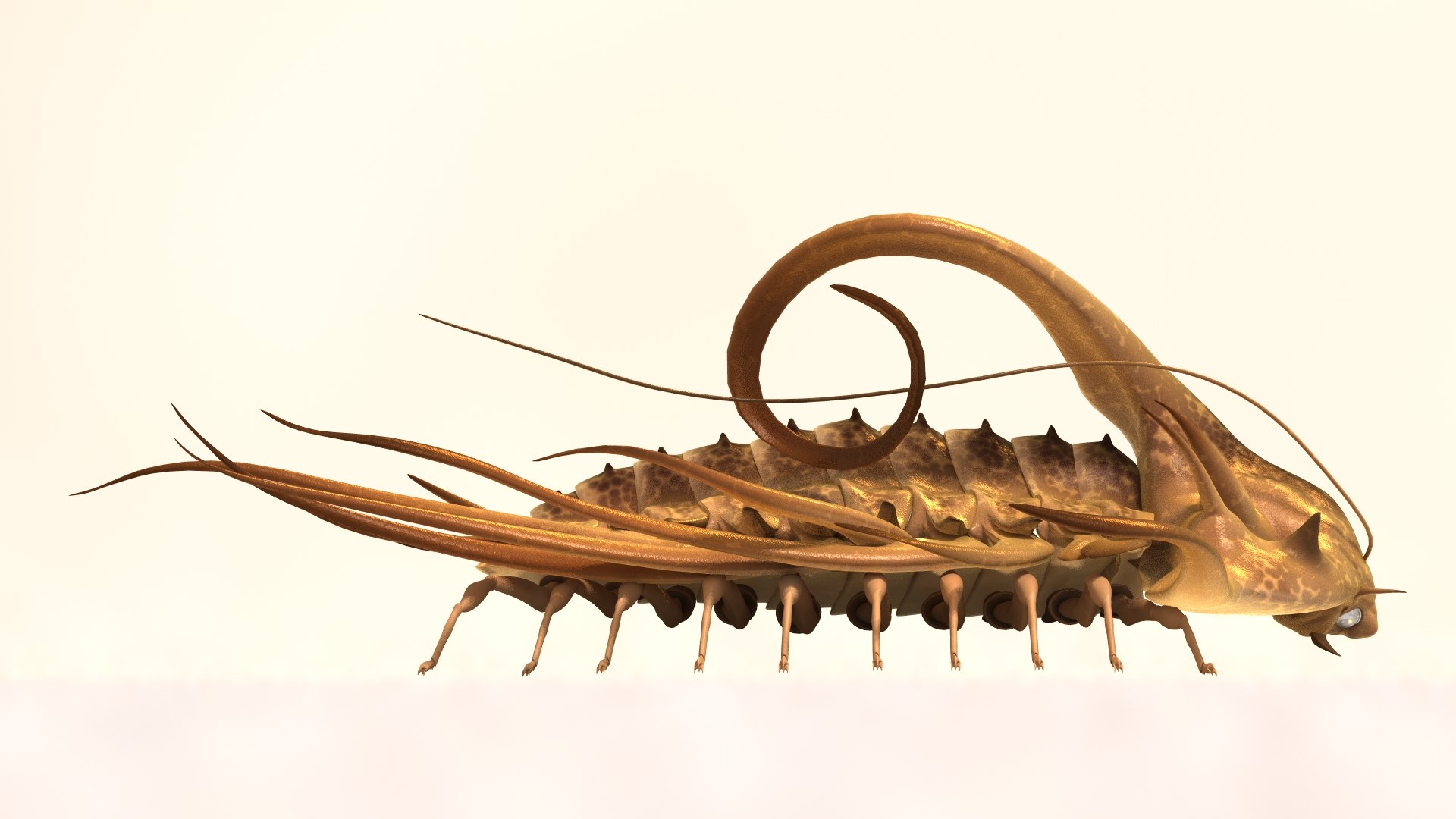 3D Dicranurus monstrosus - TurboSquid 2099735
