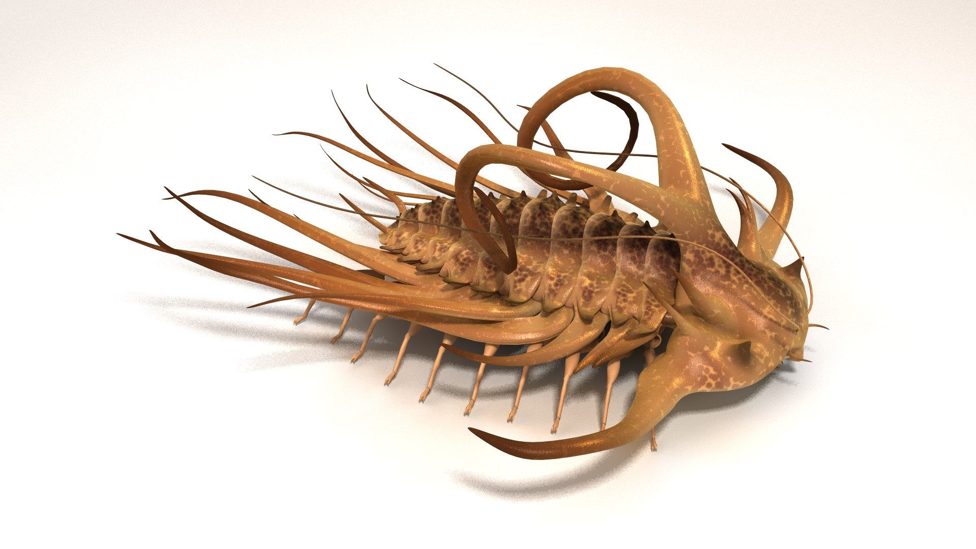 3D Dicranurus monstrosus - TurboSquid 2099735