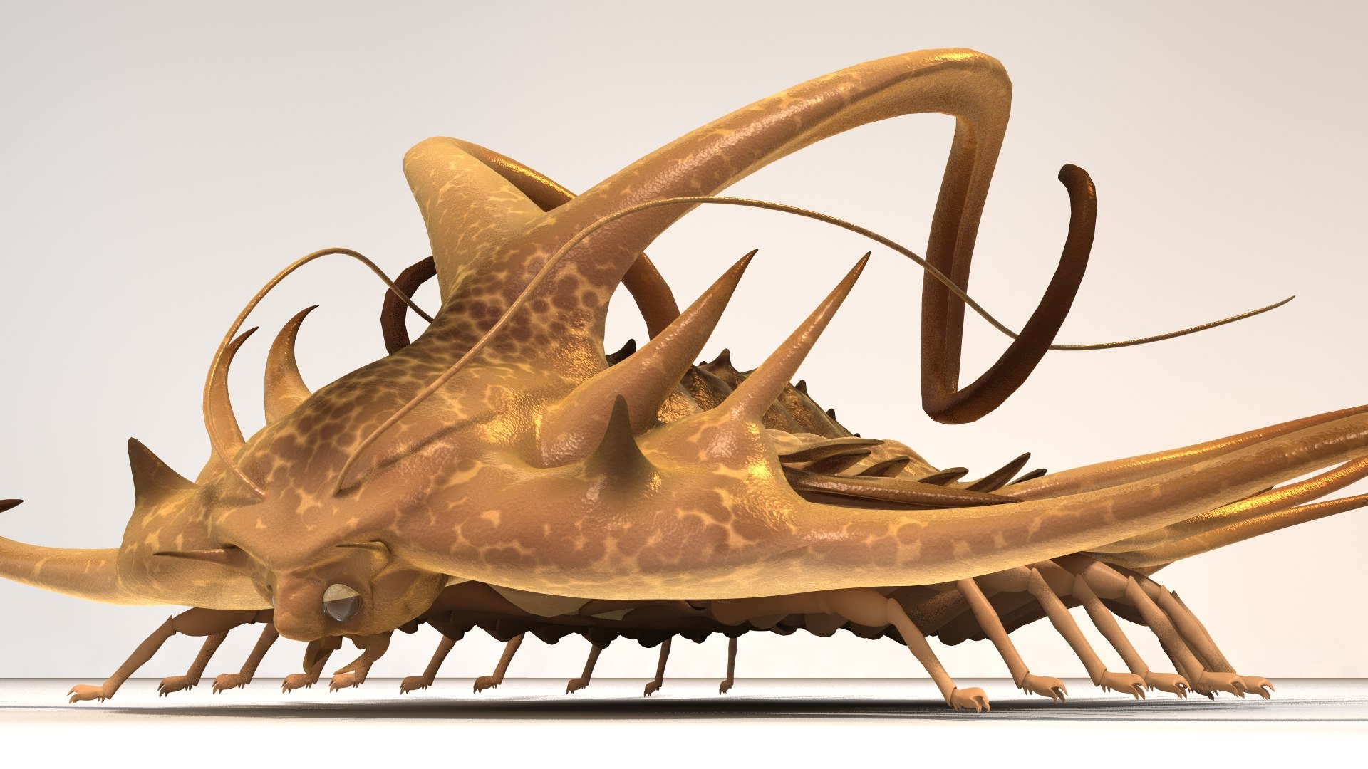 3D Dicranurus monstrosus - TurboSquid 2099735
