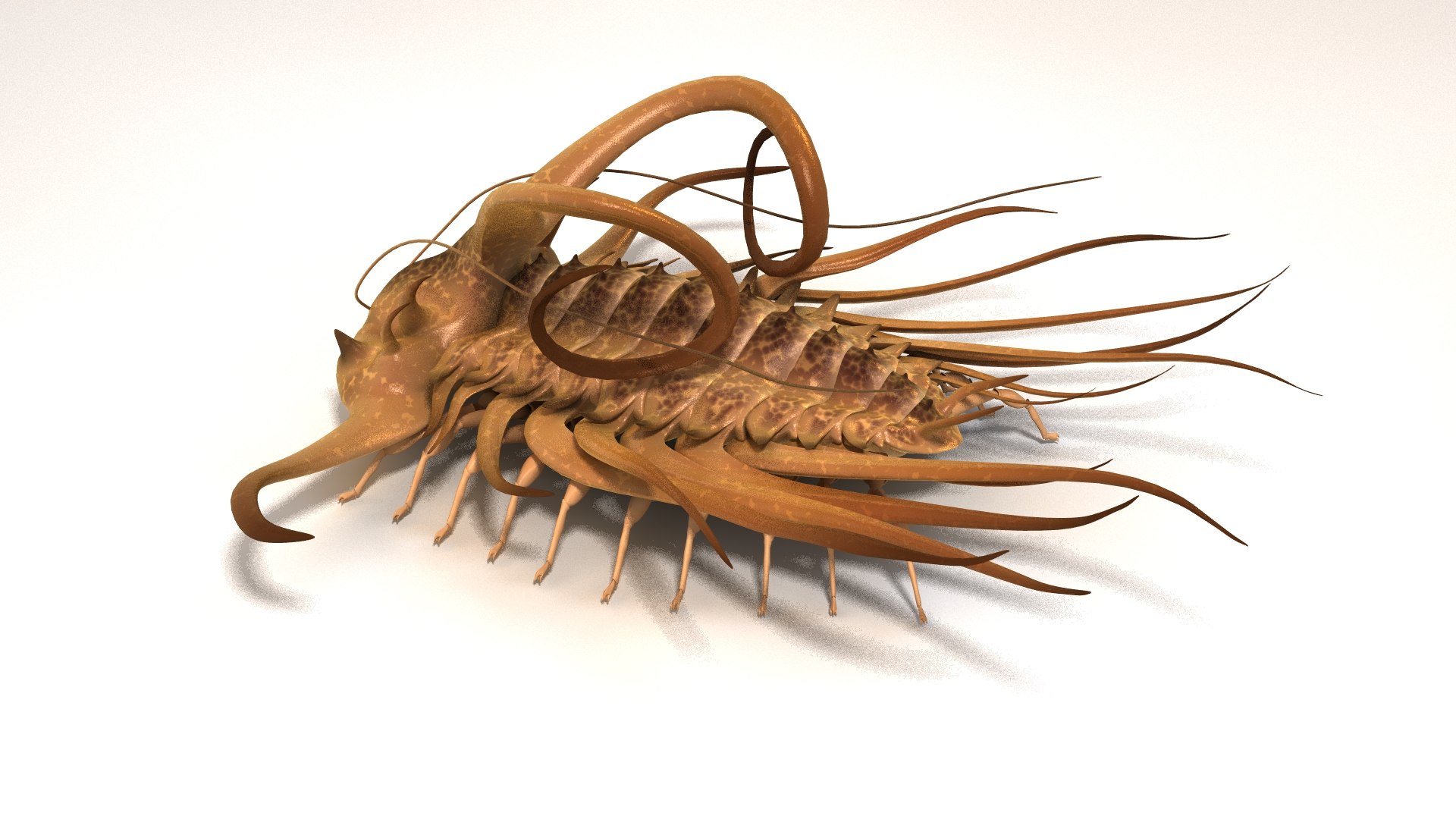 3D Dicranurus monstrosus - TurboSquid 2099735