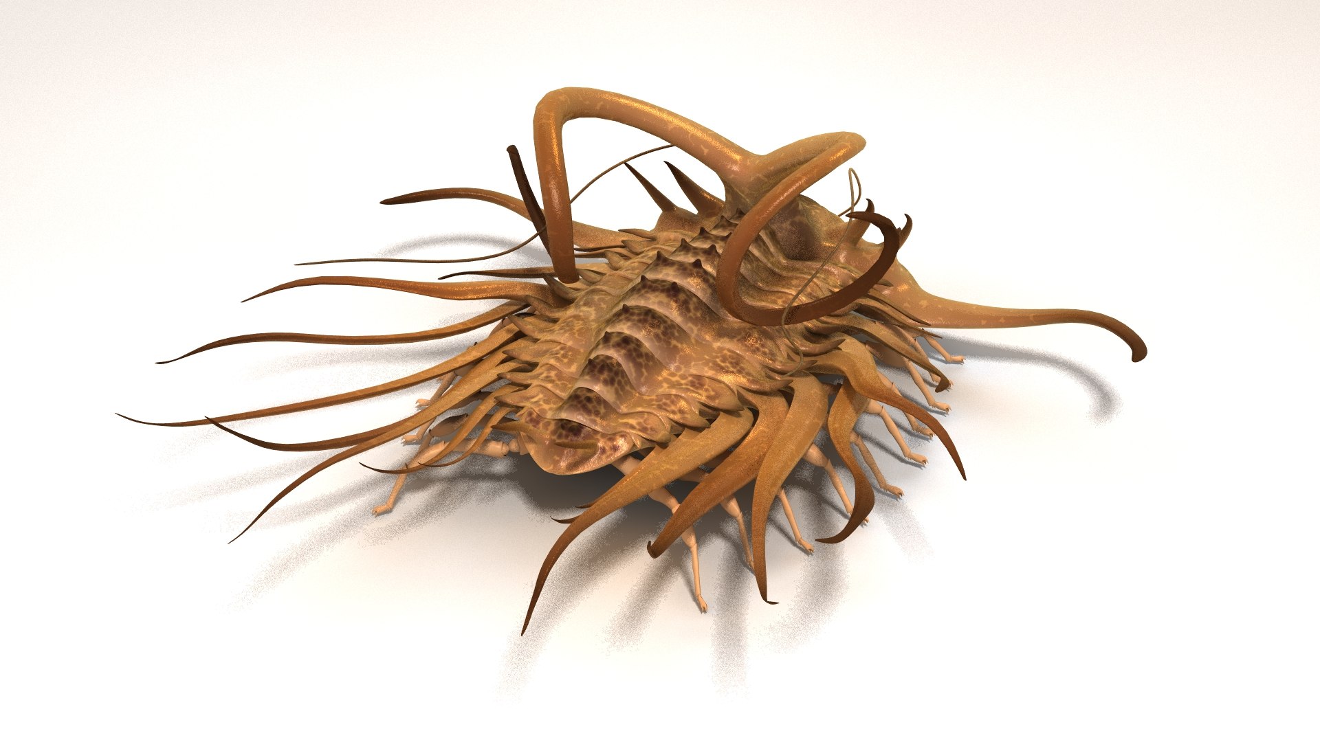 3D Dicranurus monstrosus - TurboSquid 2099735