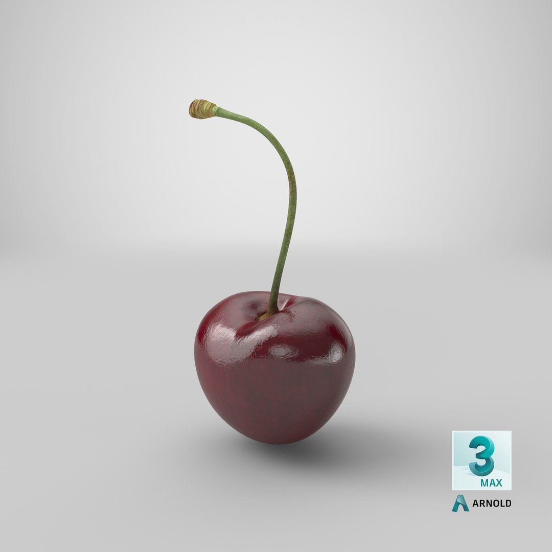Cherry 2 3D model - TurboSquid 1590835