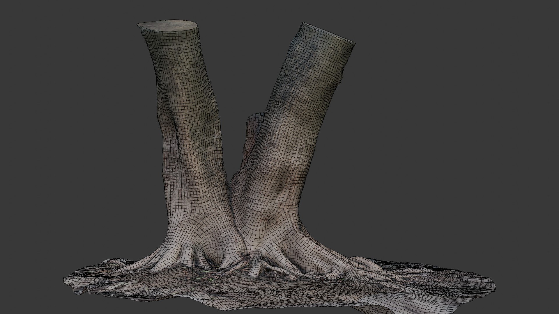 3D Tree Trunk With Exposed Roots 3D Scan - TurboSquid 2395581