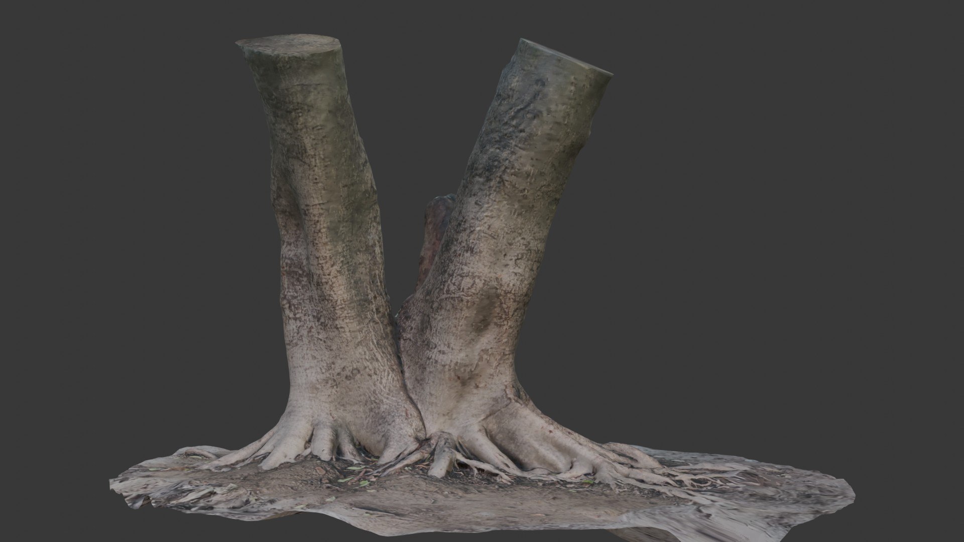 3D Tree Trunk With Exposed Roots 3D Scan - TurboSquid 2395581