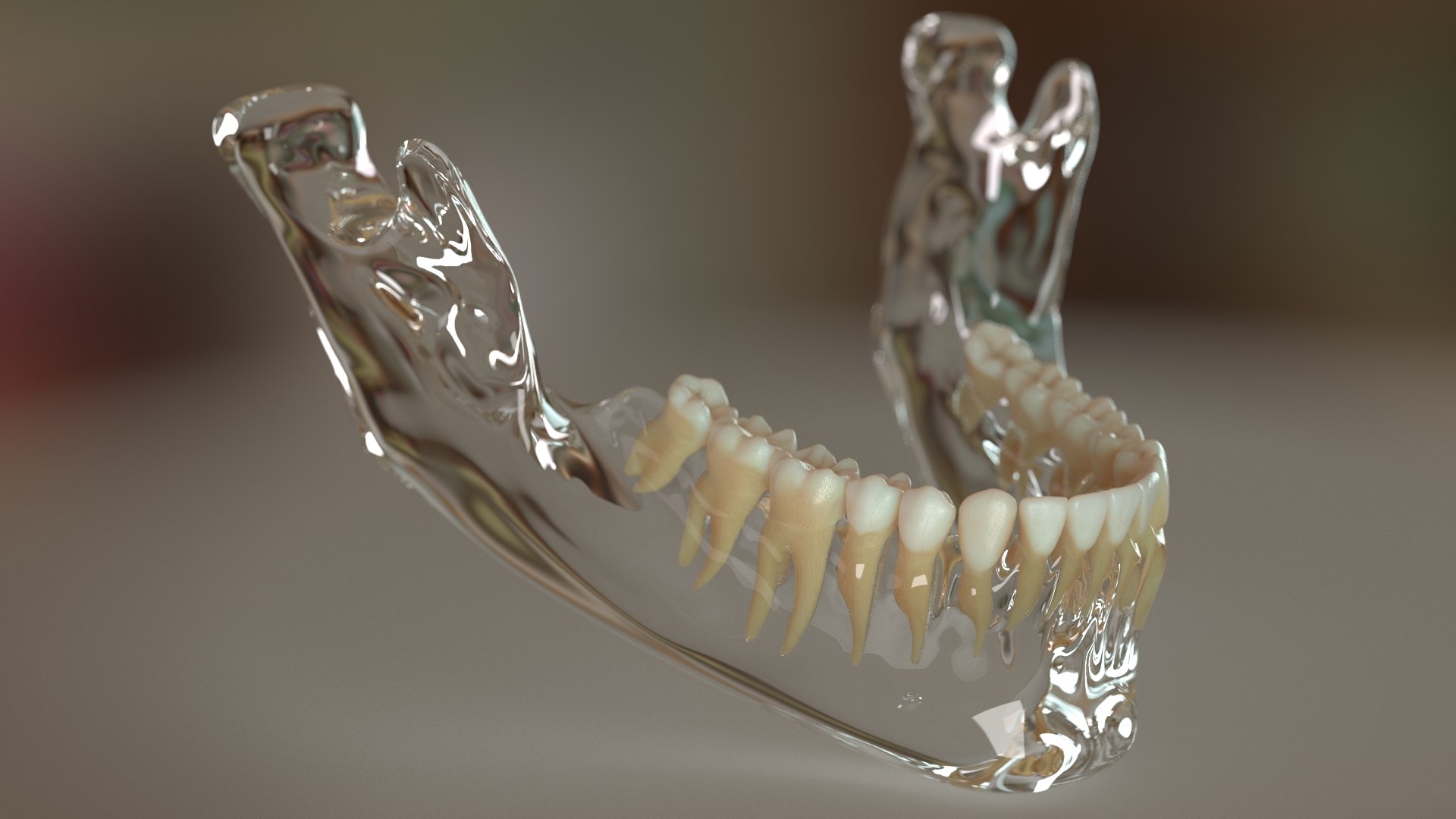 Human Mandible 3D Model - TurboSquid 2075214
