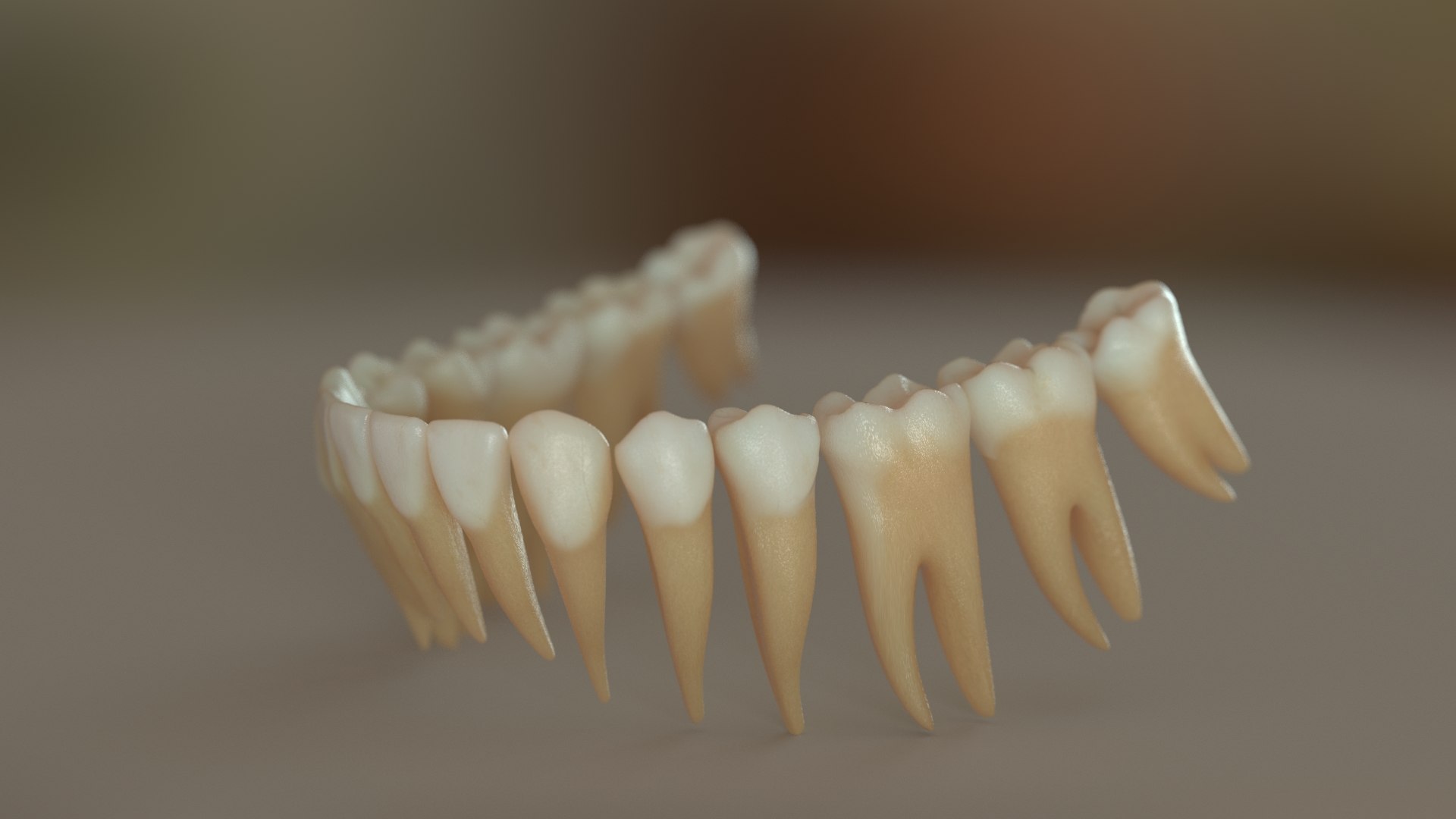 Human Mandible 3D Model - TurboSquid 2075214