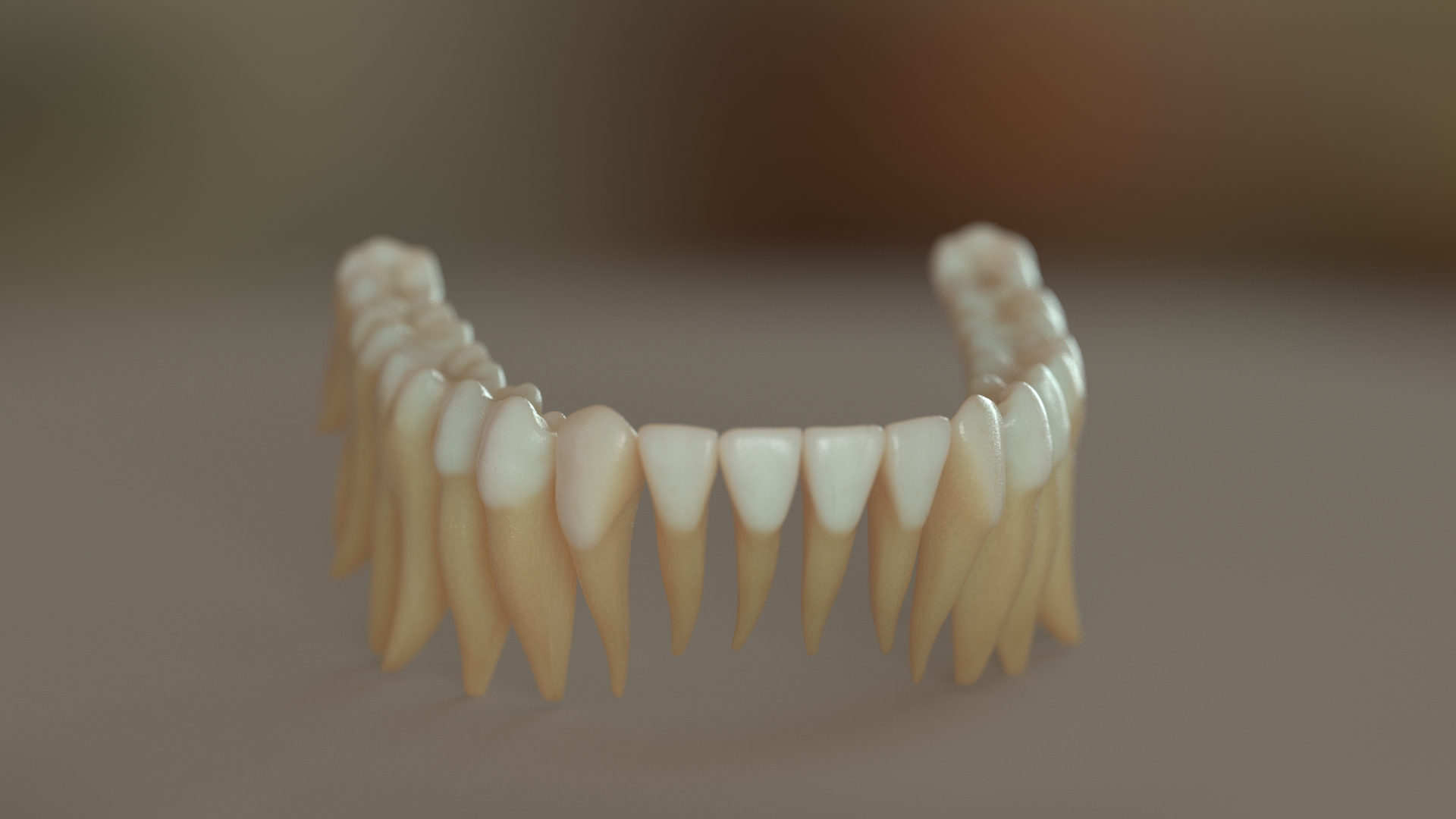 Human Mandible 3D Model - TurboSquid 2075214