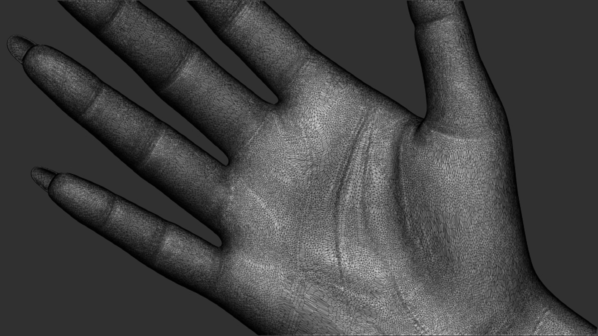 Palm 3D Model - TurboSquid 1729140