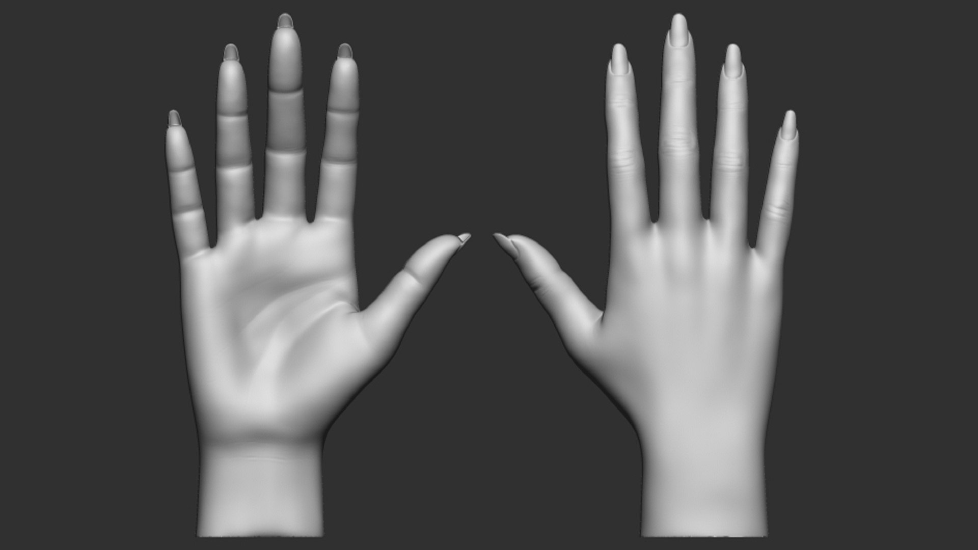 Palm 3D Model - TurboSquid 1729140