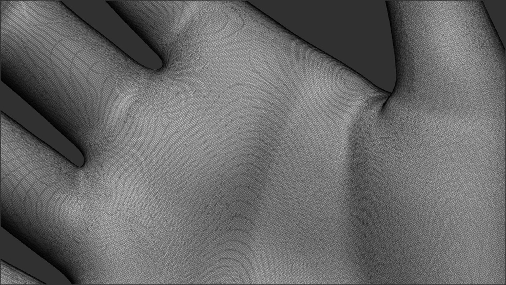 Palm 3D Model - TurboSquid 1729140