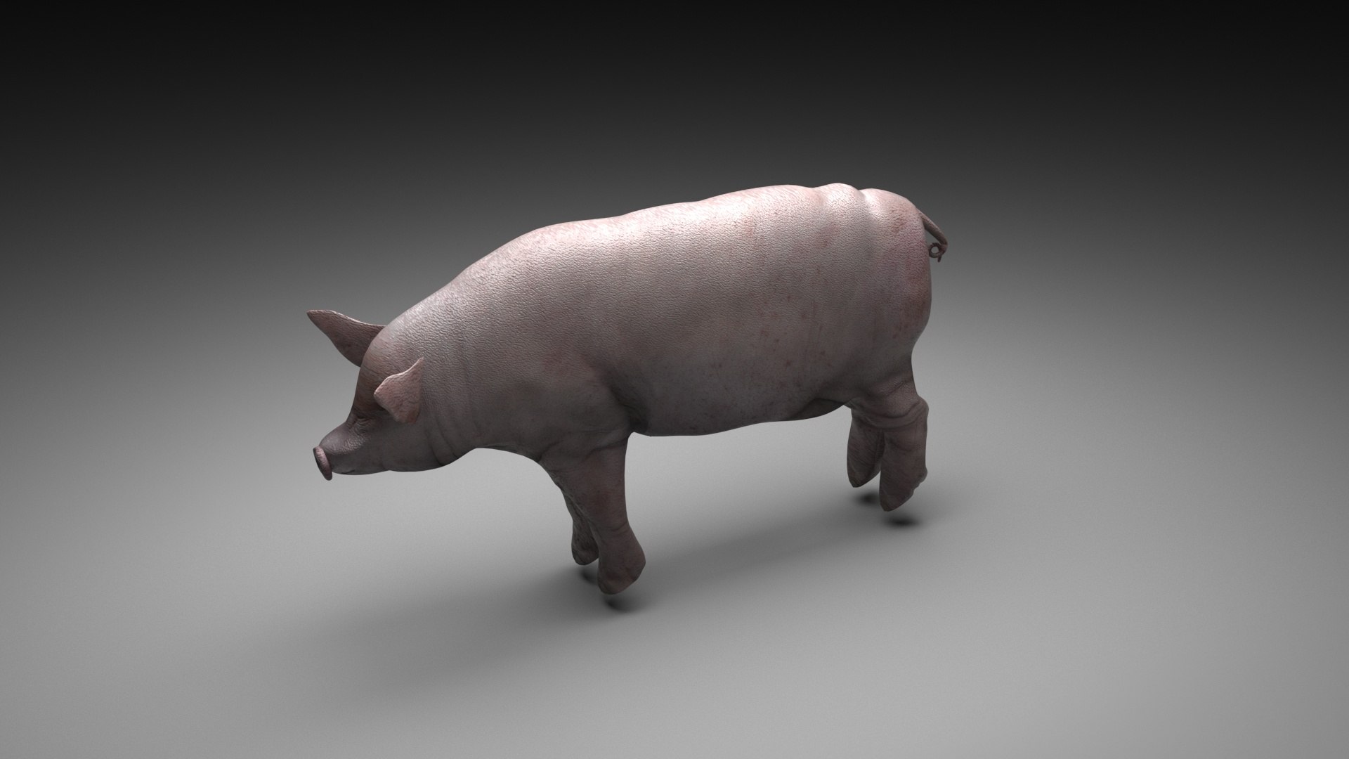 3D Pig - TurboSquid 1840783