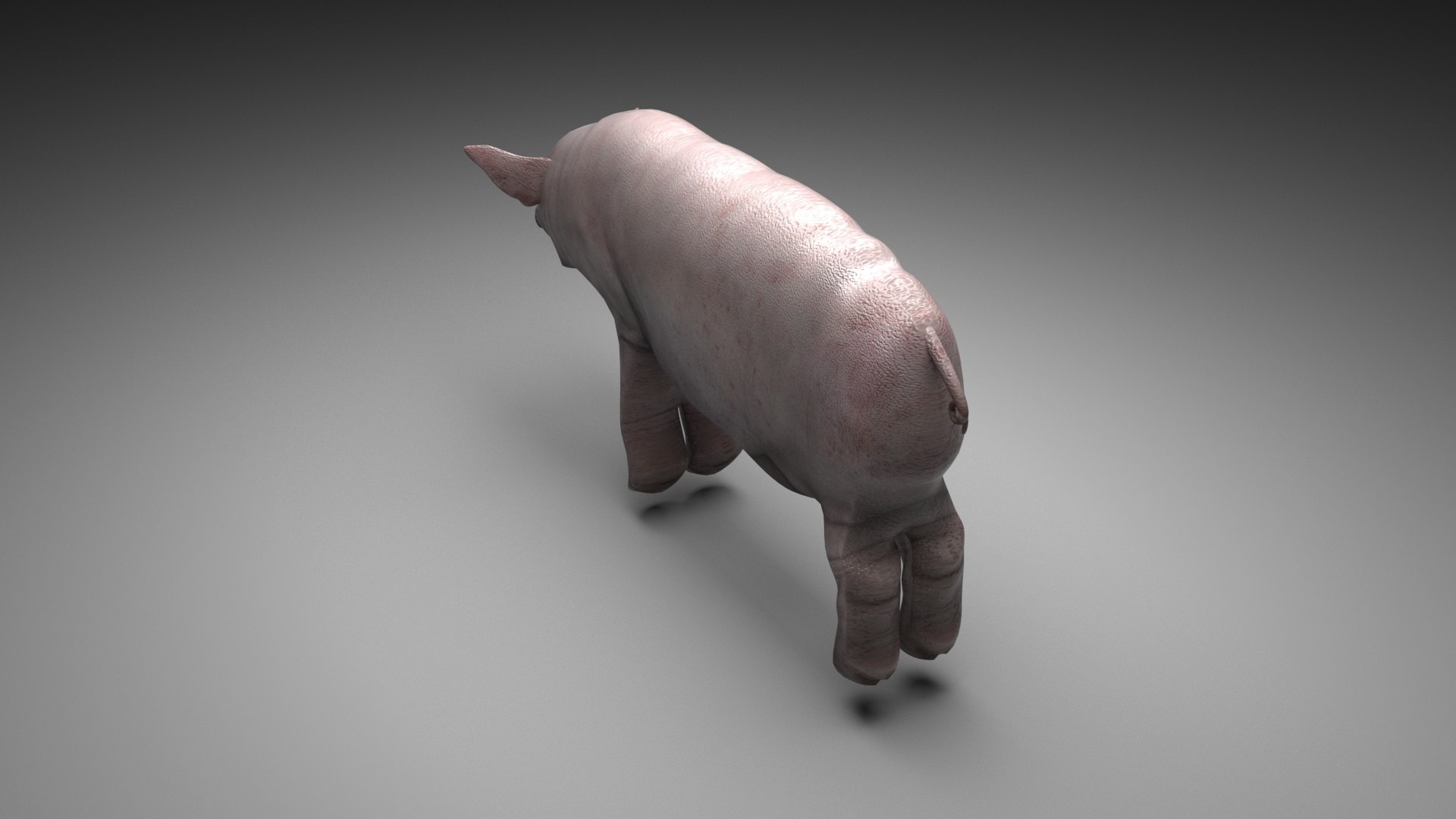 3D Pig - TurboSquid 1840783