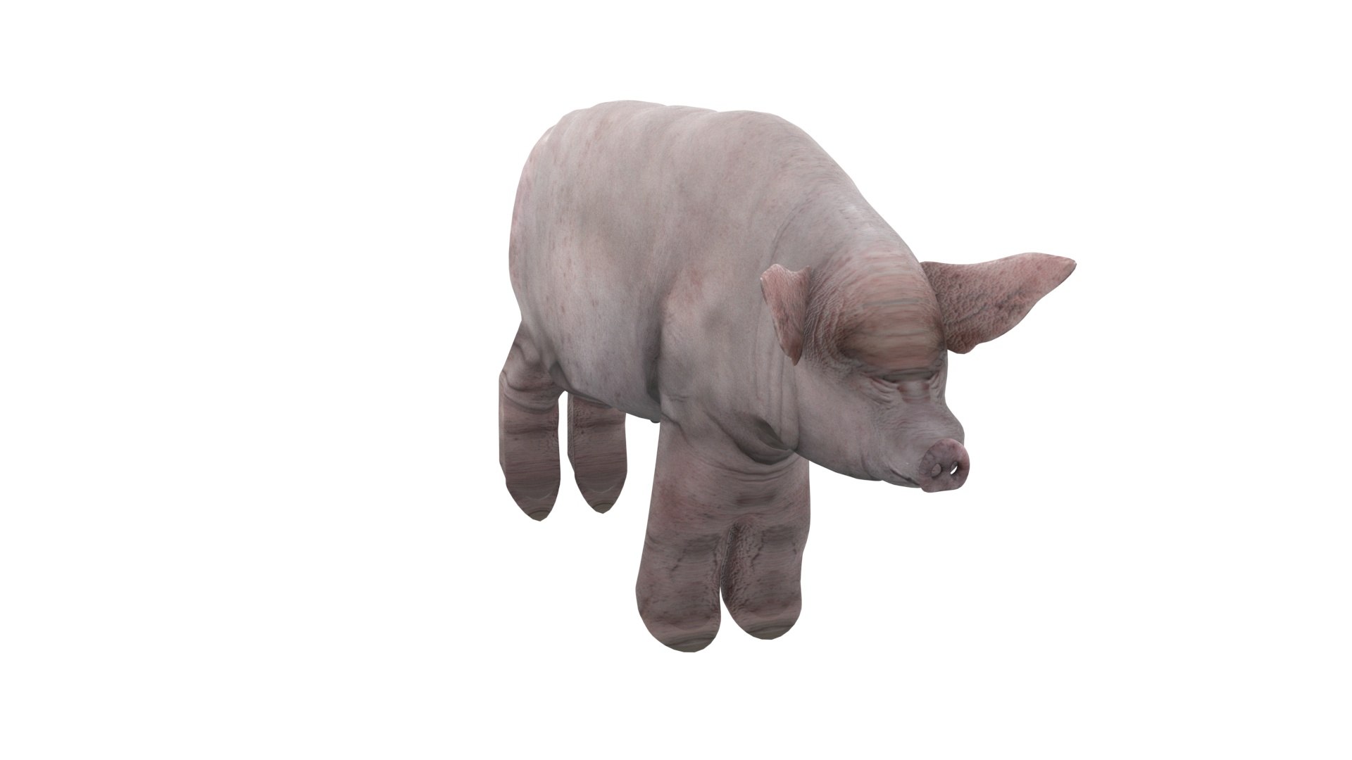 3D Pig - TurboSquid 1840783