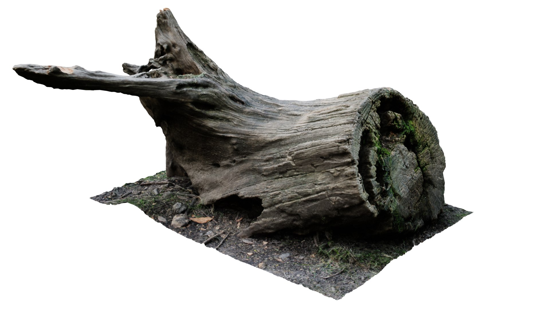 Urban Nature Collection Tree Trunks Model - TurboSquid 1804345