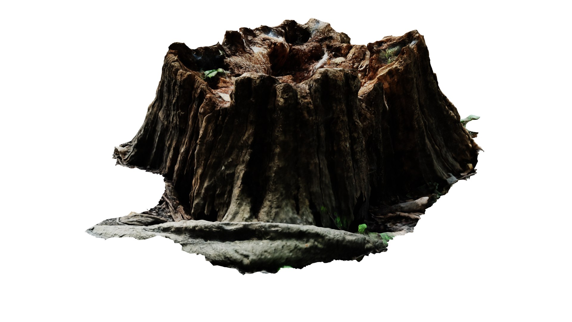 Urban Nature Collection Tree Trunks Model - TurboSquid 1804345