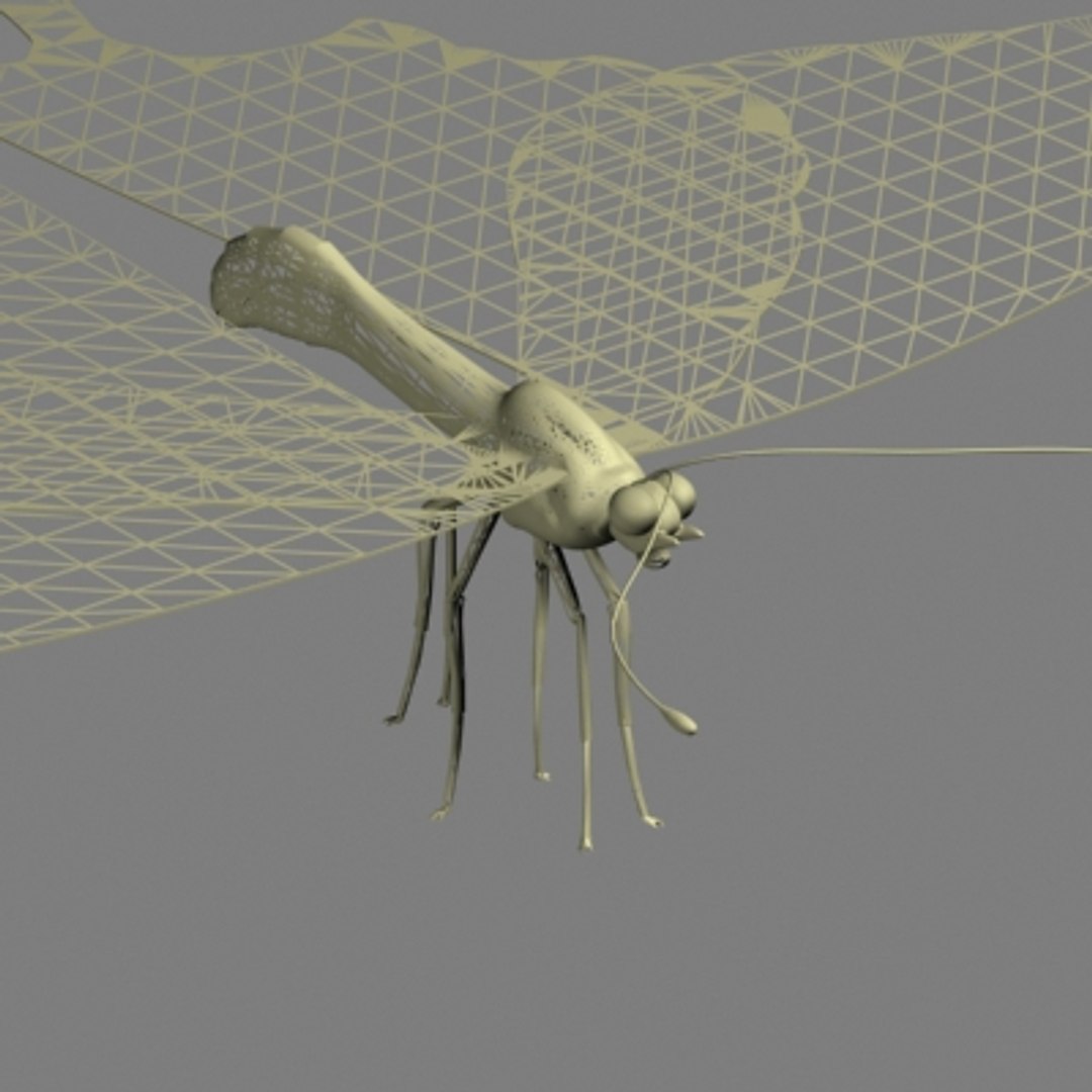 Butterfly Fly 3d Model