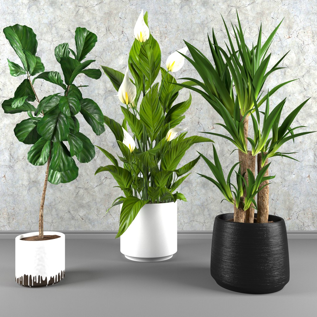 3D plants model - TurboSquid 1170243