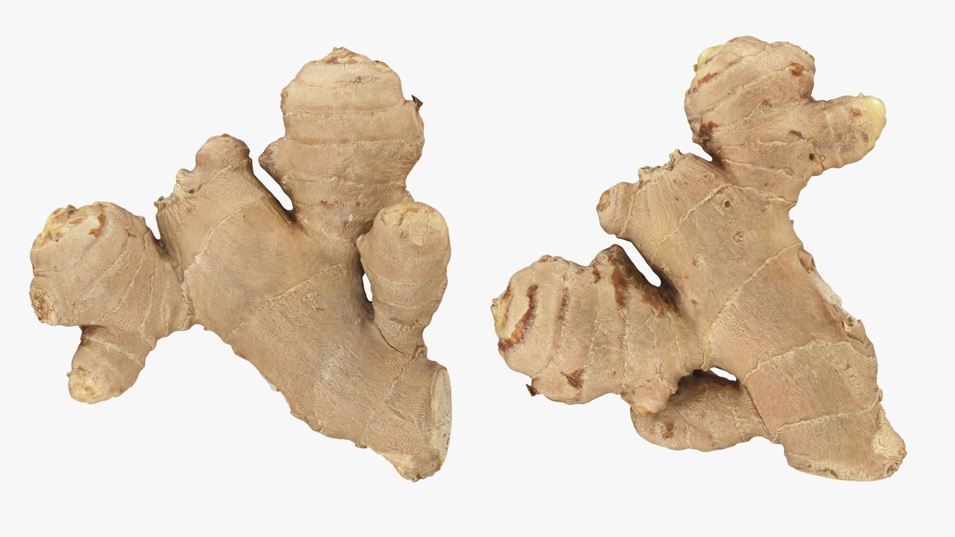 Ginger Root 02 3D Model - TurboSquid 2384335