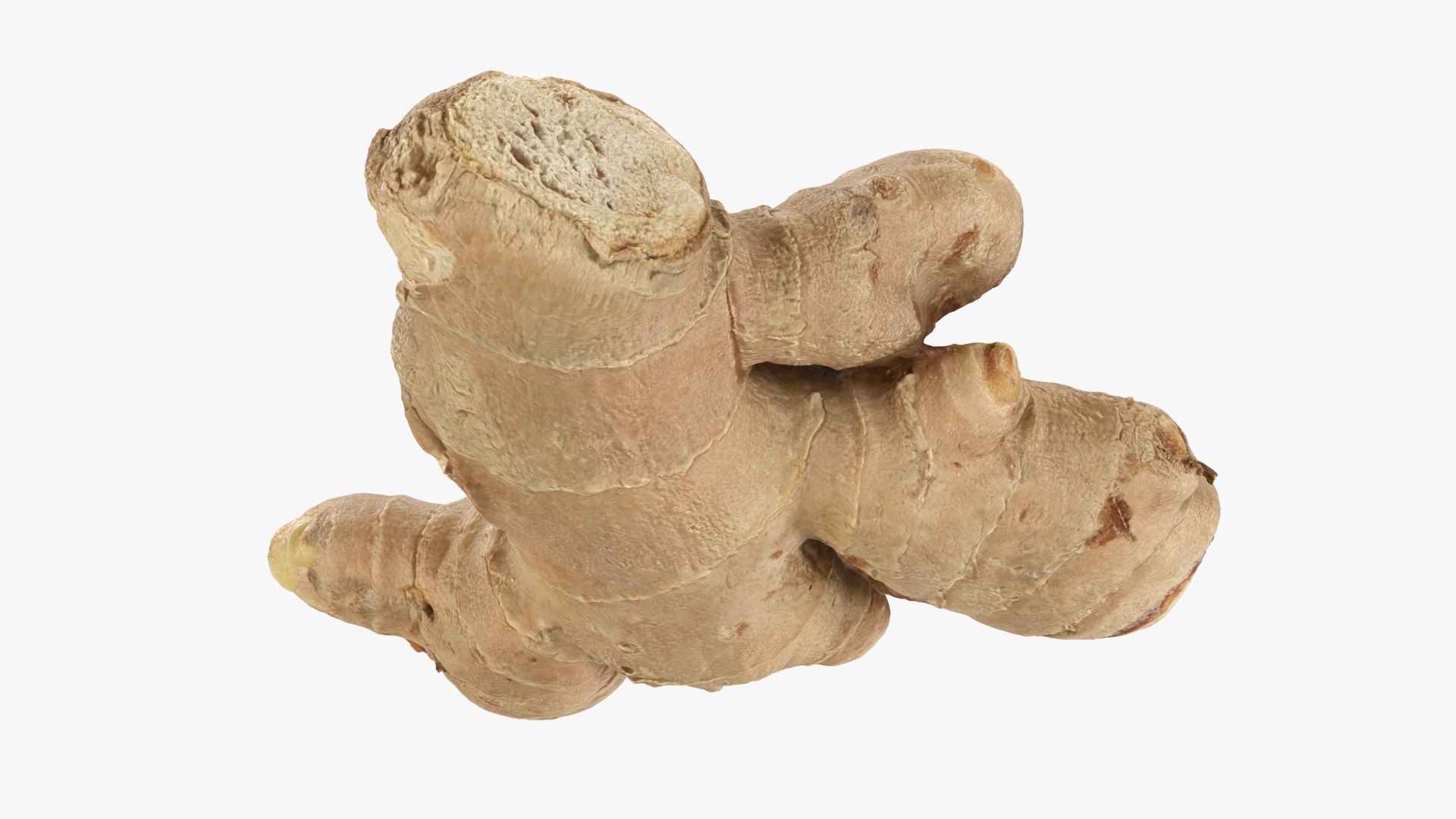 Ginger Root 02 3D Model - TurboSquid 2384335